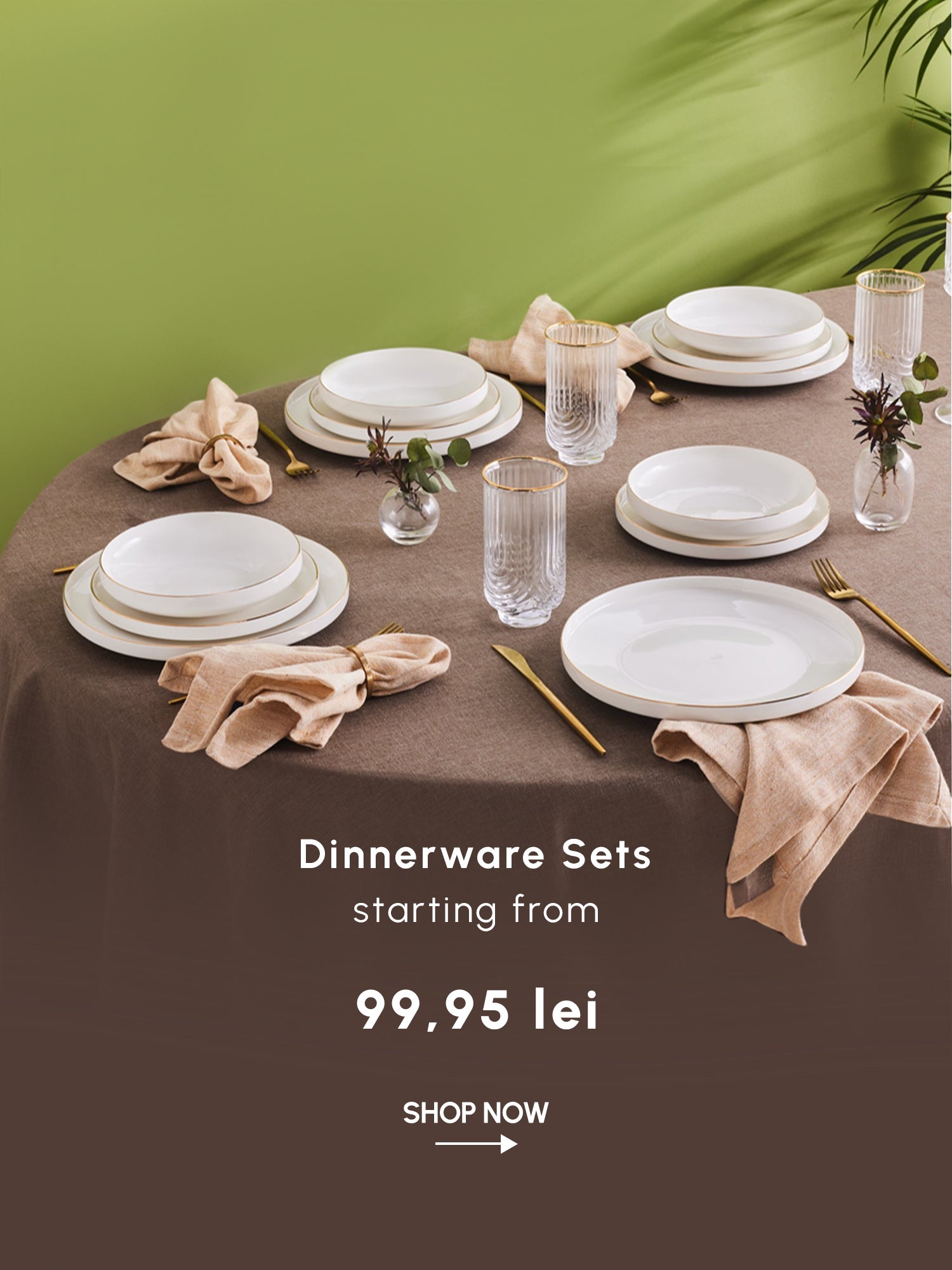 Welcome to Karaca Romania